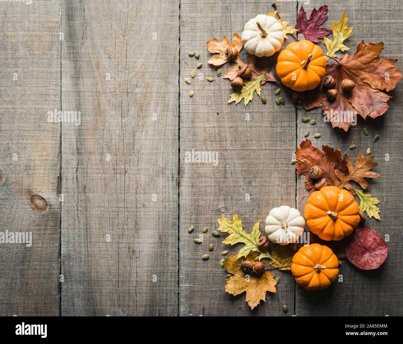 Mini pumpkins overhead hi-res stock photography and images - Alamy