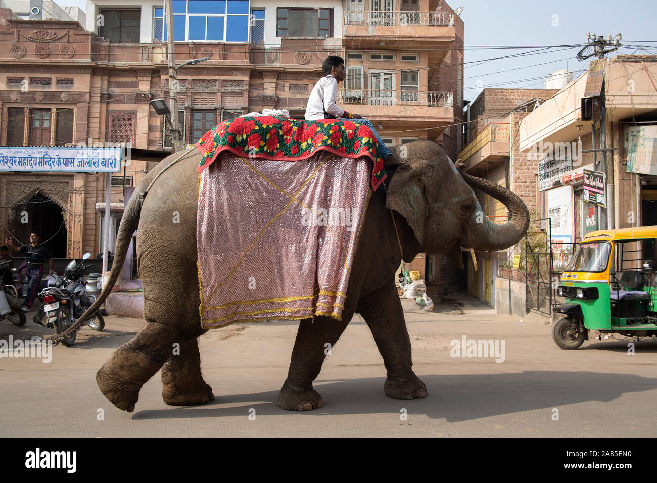 Man india city scape hi-res stock photography and images - Alamy