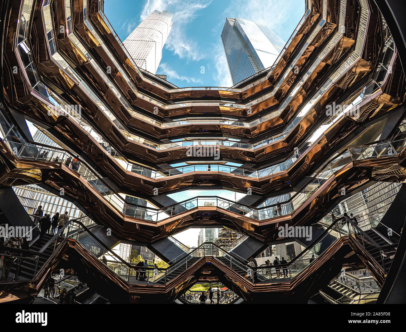 Vessel structure hi-res stock photography and images - Alamy