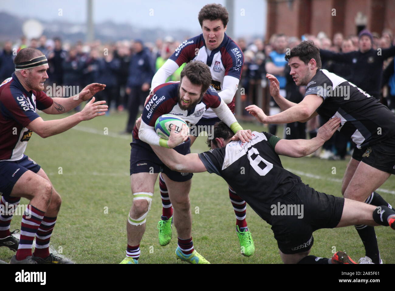 Professional rugby league player hi-res stock photography and images ...