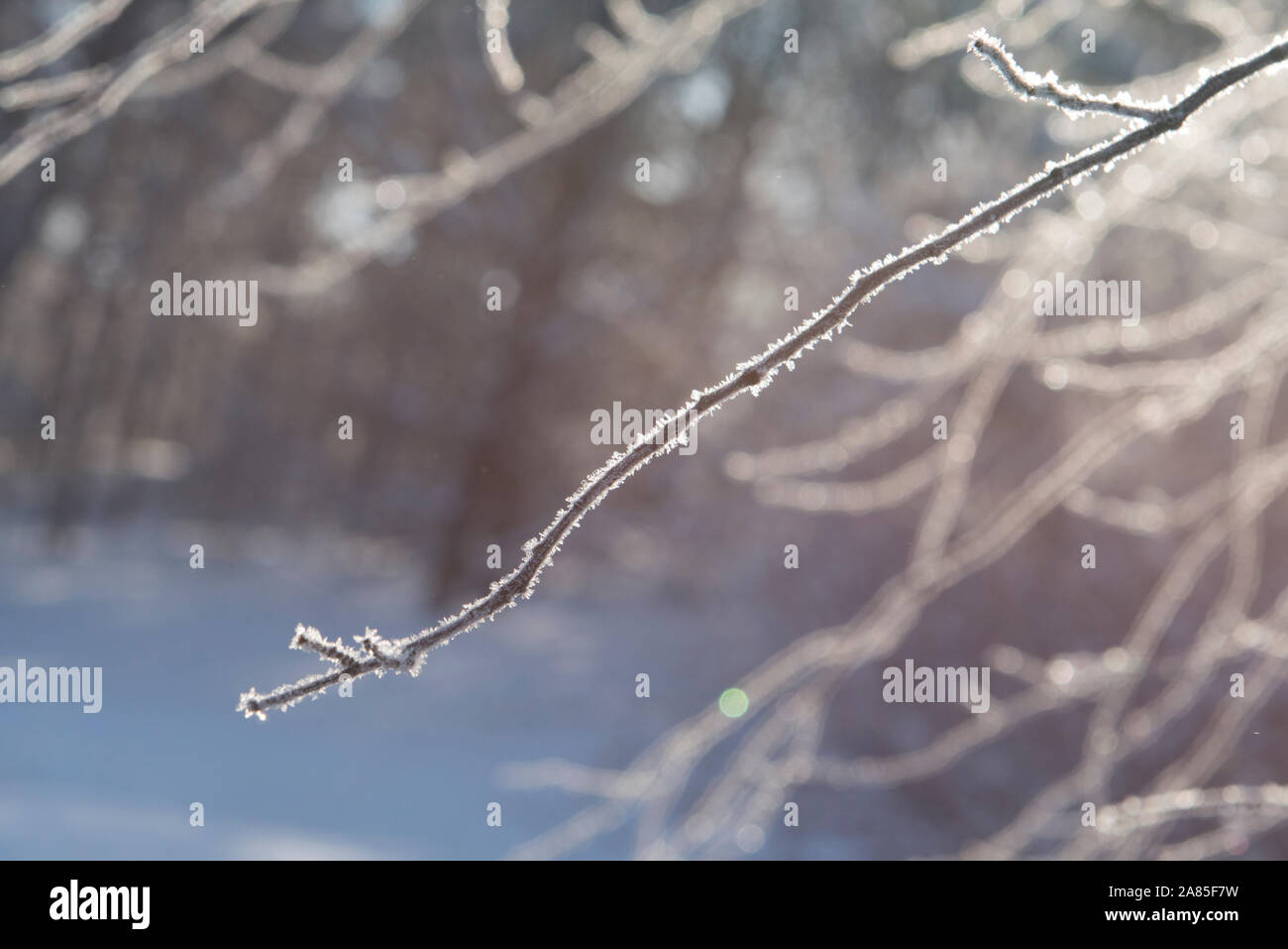 Frost outside hi-res stock photography and images - Alamy