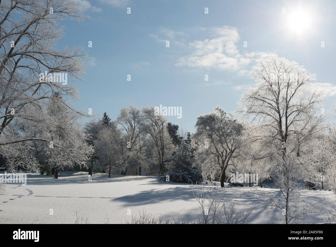 Frost outside hi-res stock photography and images - Alamy