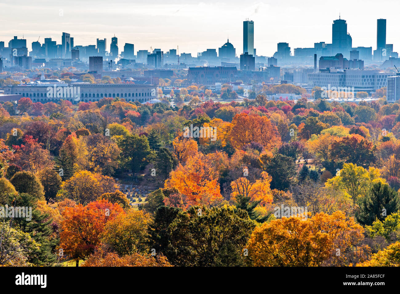 Cityscape with trees hi-res stock photography and images - Alamy