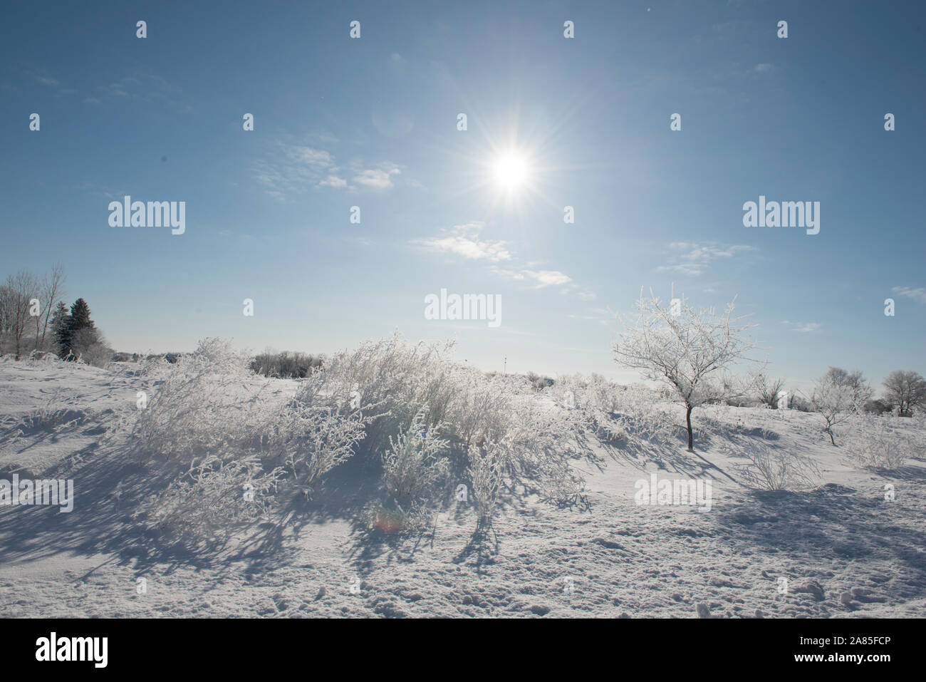 Morning snow hi-res stock photography and images - Alamy