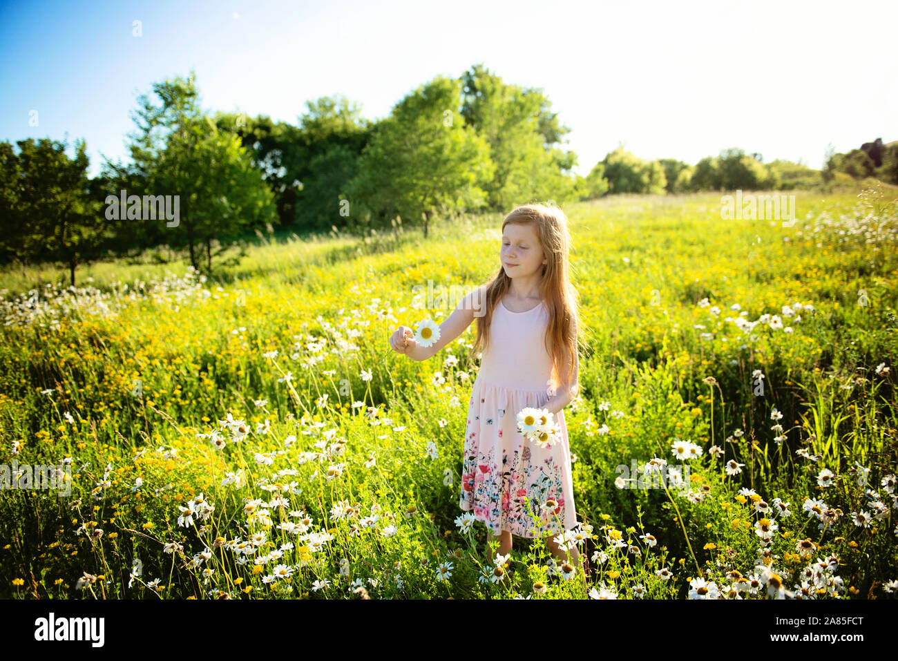 Young Girl With Red Hair in Pink Dress Skipping Through Meadow Stock ...