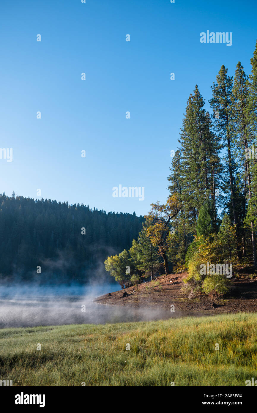 Fog drifting along a lake with autumn colors and dew filled meadow ...