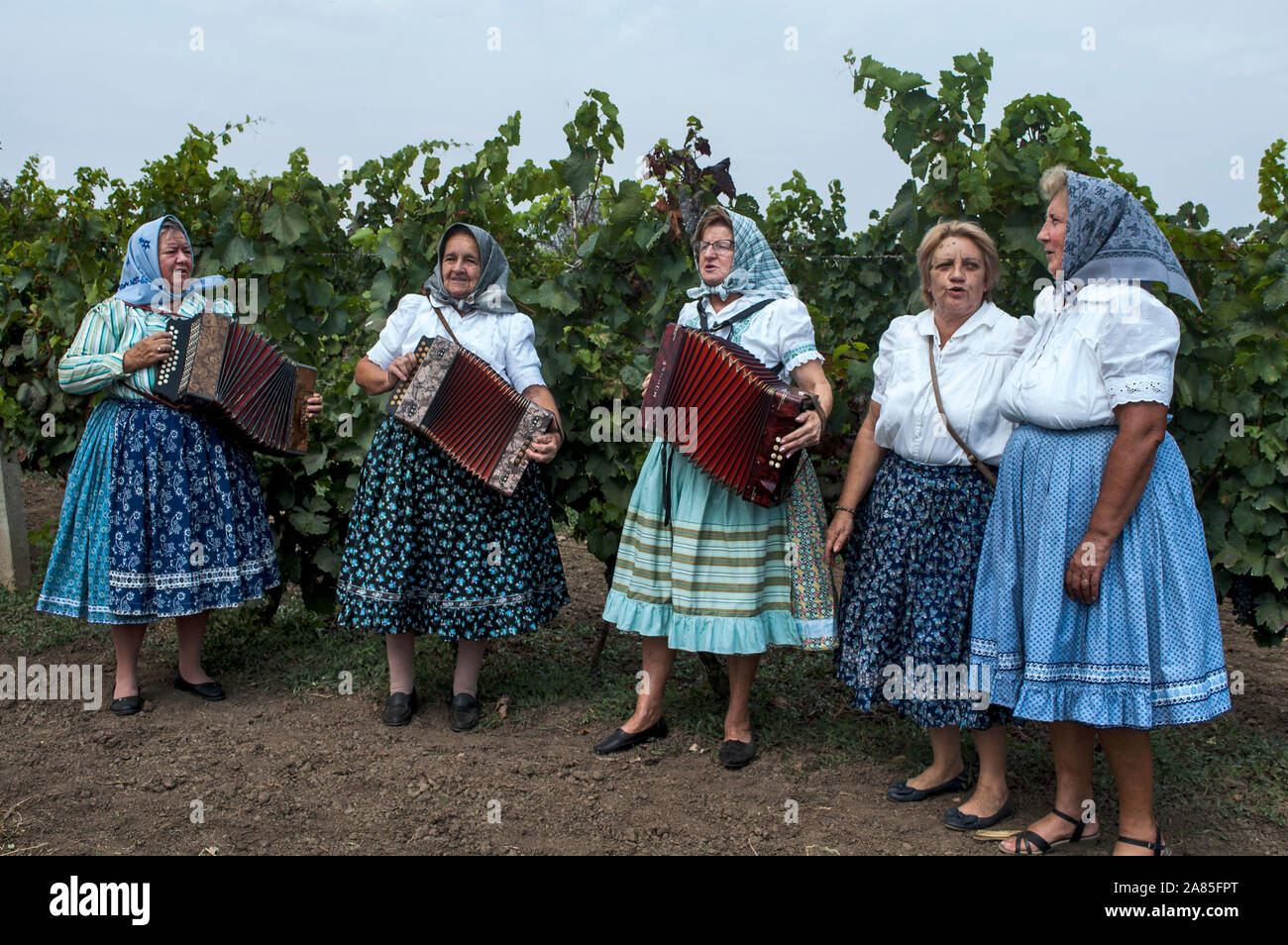 ARADAC, SERBIA, September 07, 2019. Traditional celebration of the ...
