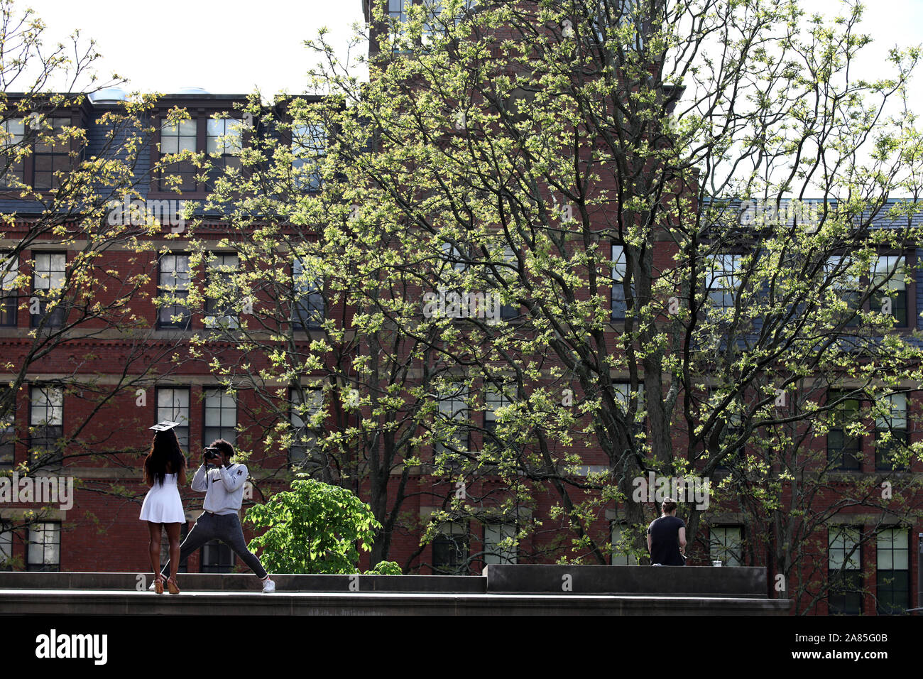 Boston cambridge harvard hi-res stock photography and images - Alamy