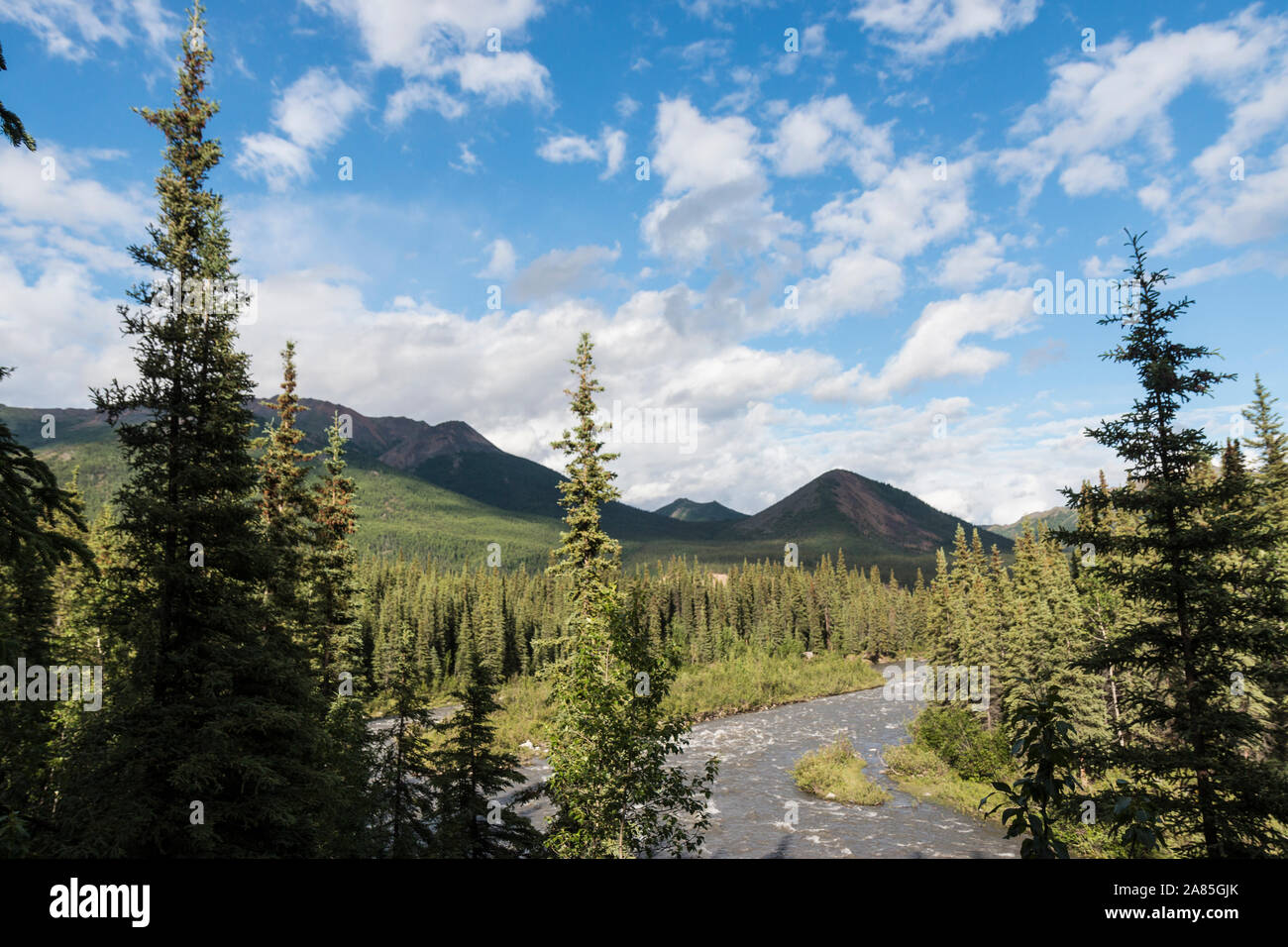 A landscape view of Denali National Park and Preserve in Alaska Stock ...