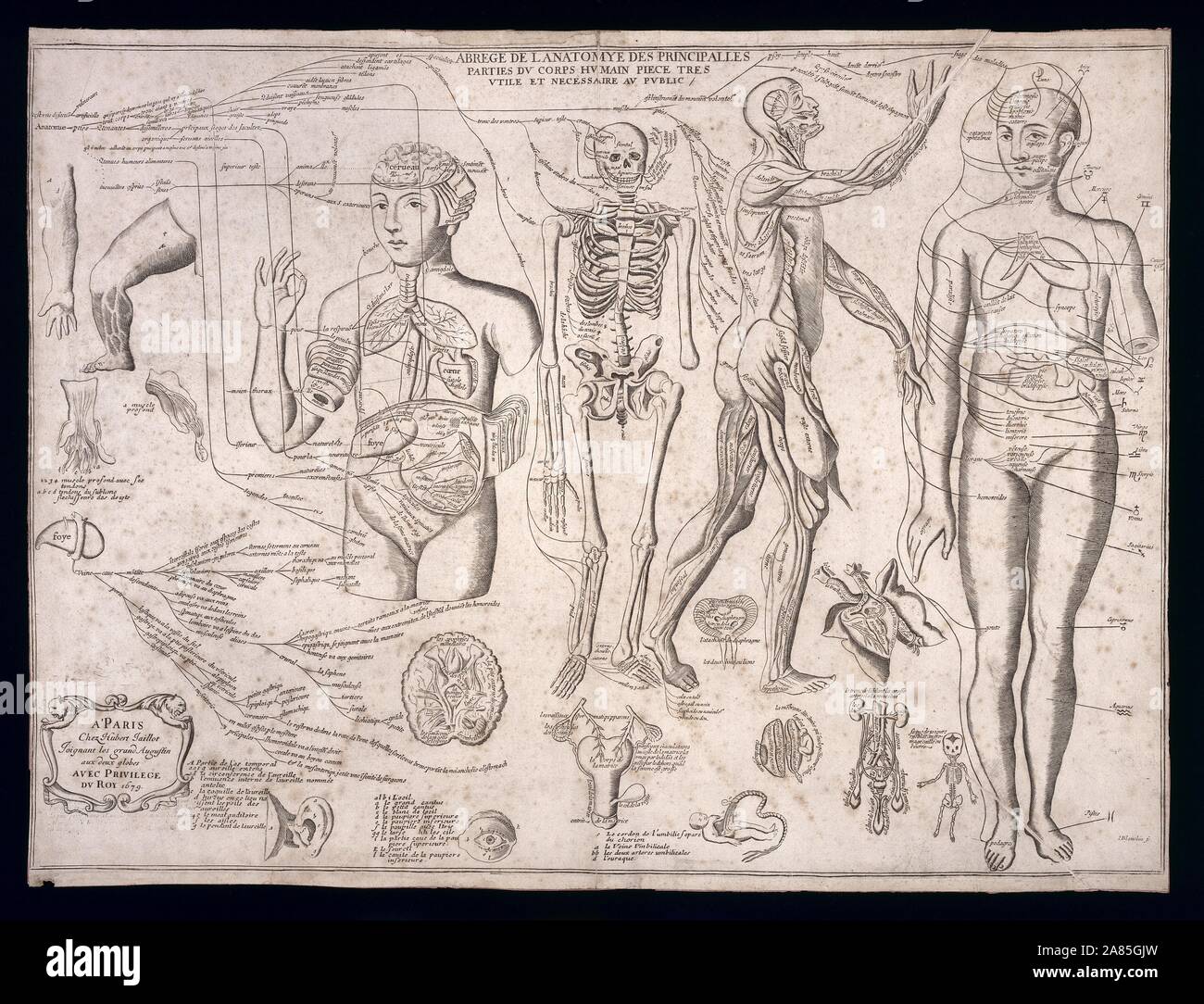 Blanchin hi-res stock photography and images - Alamy