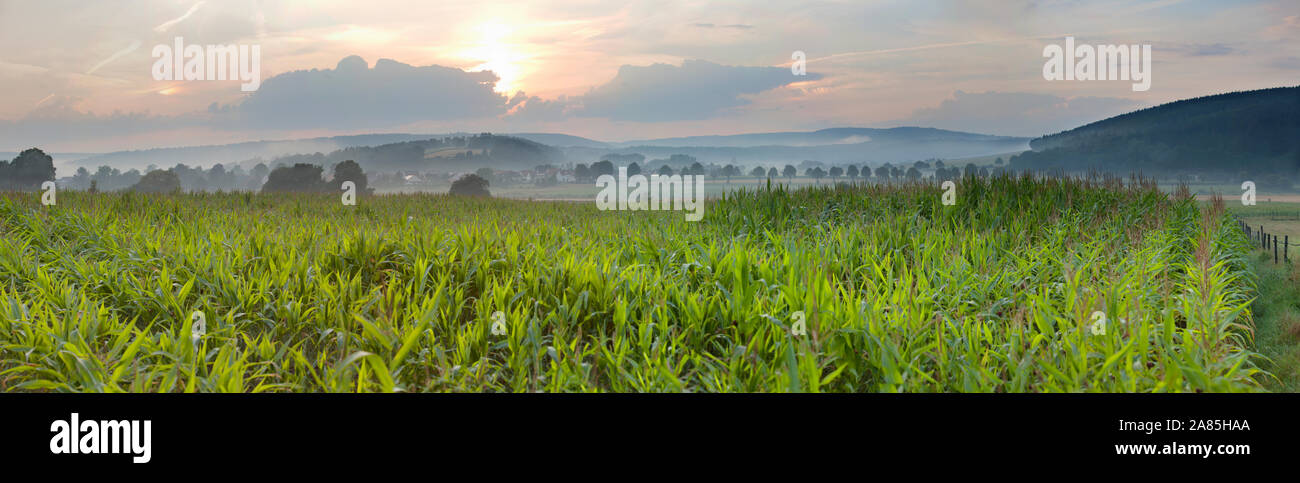 River scene trees hills hi-res stock photography and images - Alamy