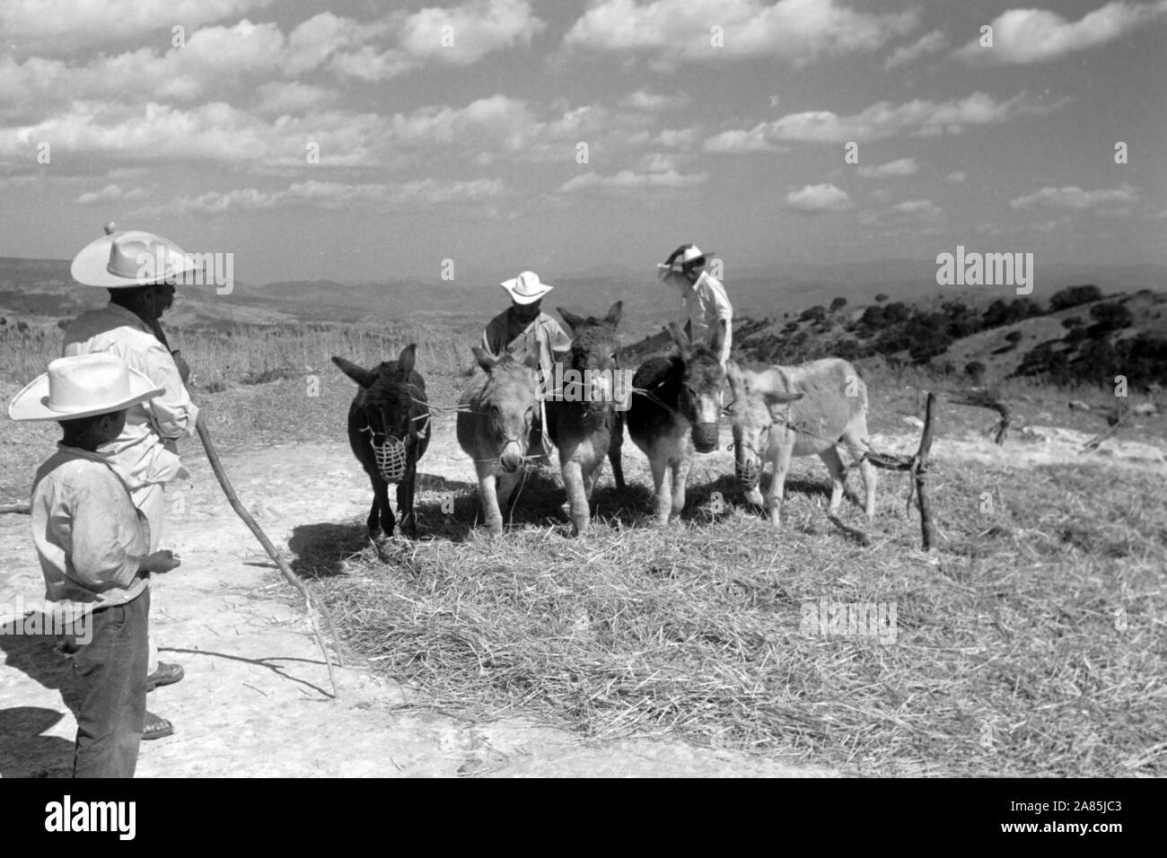 Ansichten des ländlichen Mexiko, 1960er. Views of rural Mexico, 1960s ...