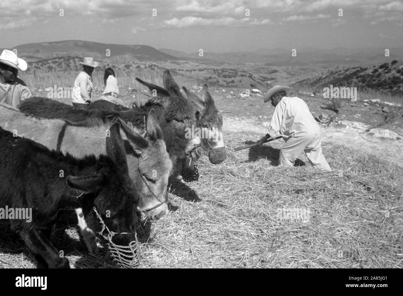 Ansichten des ländlichen Mexiko, 1960er. Views of rural Mexico, 1960s ...