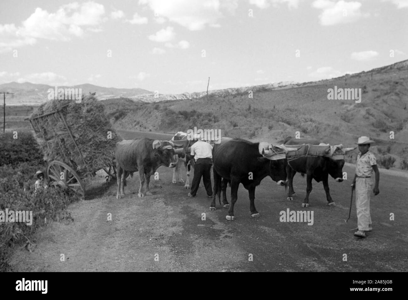 Mexico road 1960s hi-res stock photography and images - Alamy