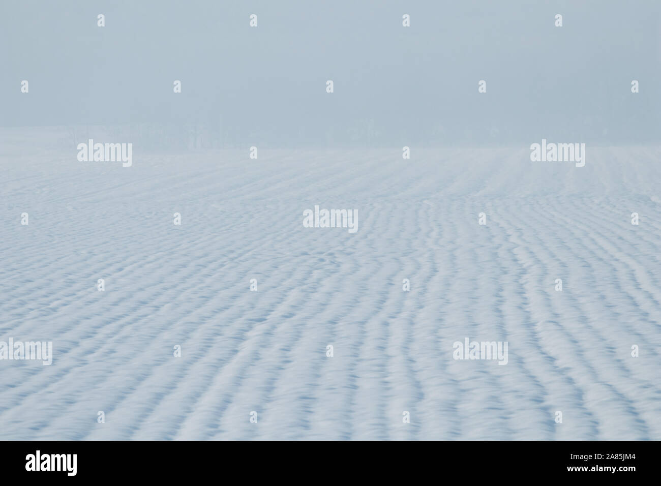 Grain field snow covered. Agriculture field under snow Stock Photo - Alamy