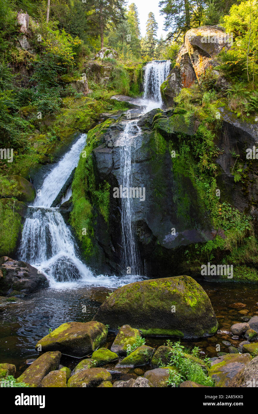 Triberg Waterfalls 3