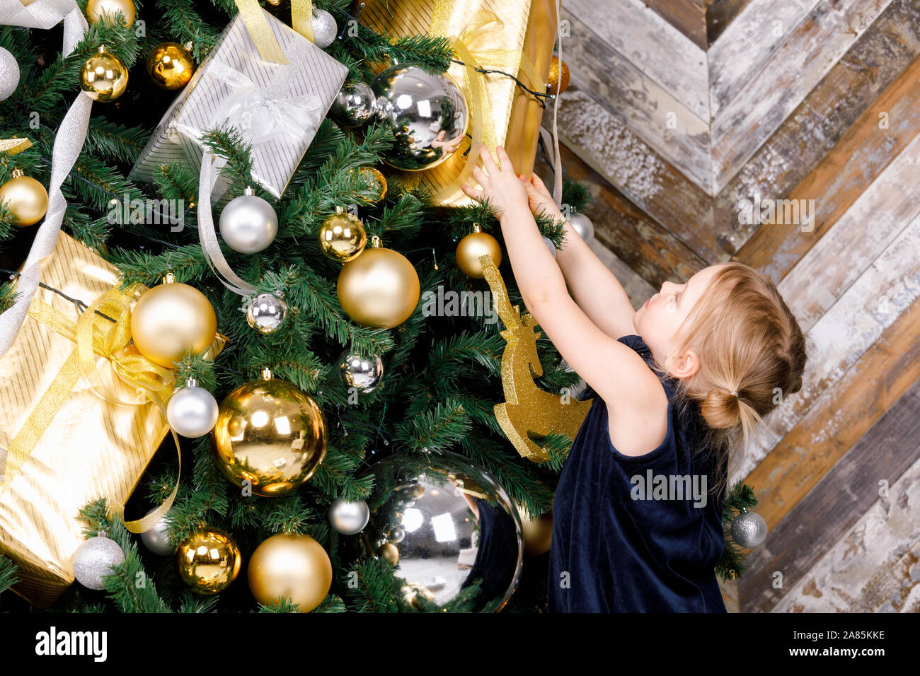 Girl pulling christmas tree hi-res stock photography and images - Alamy