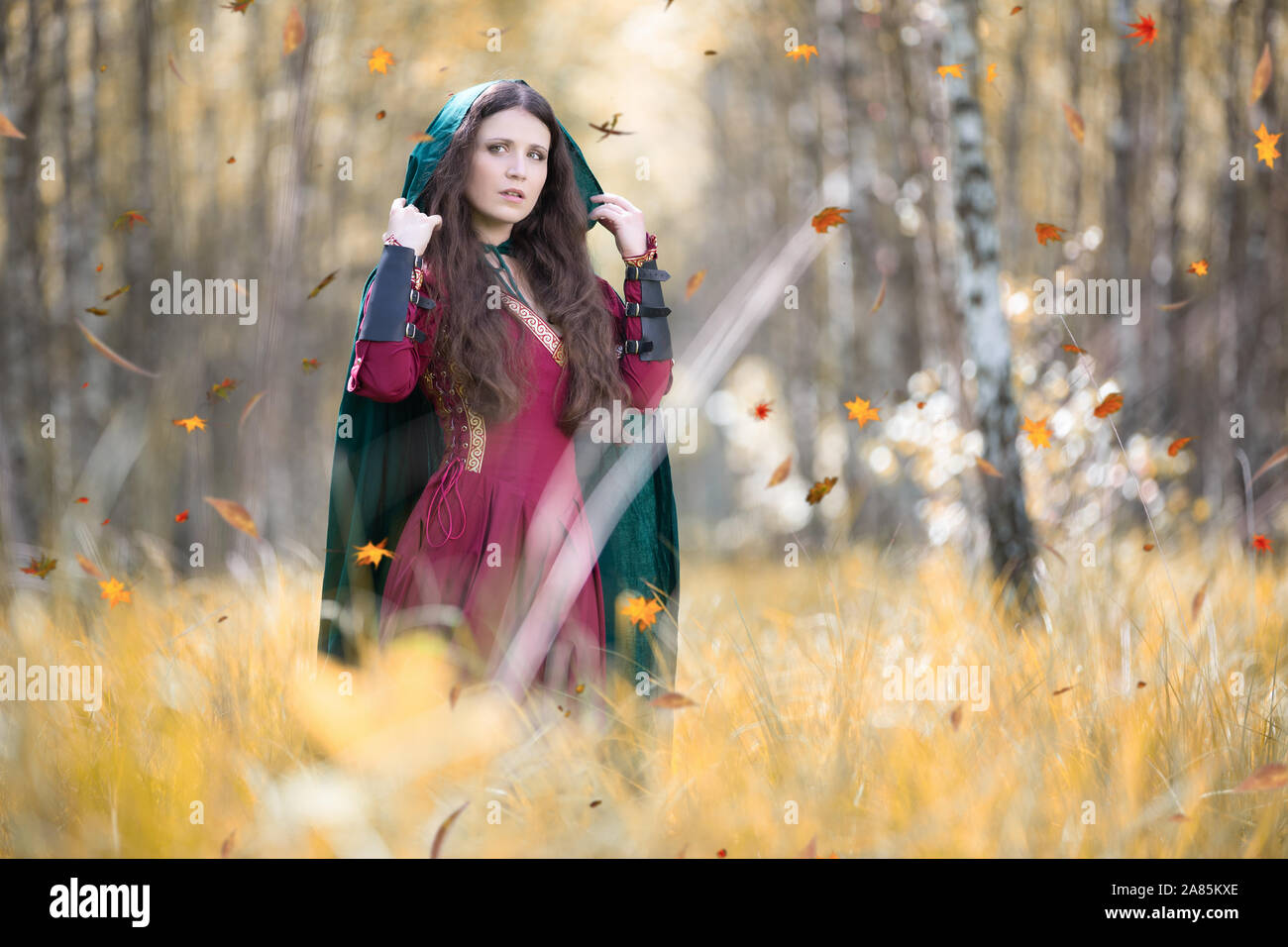 Fantasy forest hi-res stock photography and images - Alamy