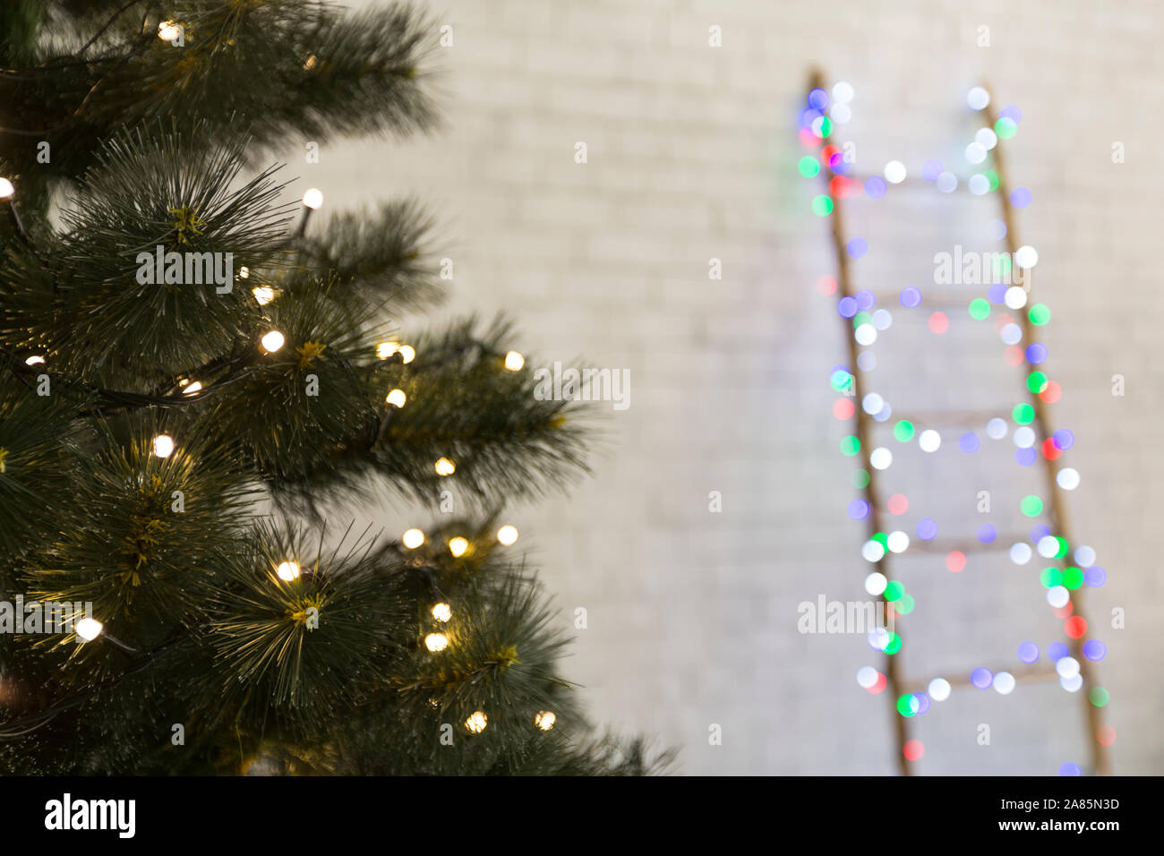 Real pine tree hi-res stock photography and images - Alamy