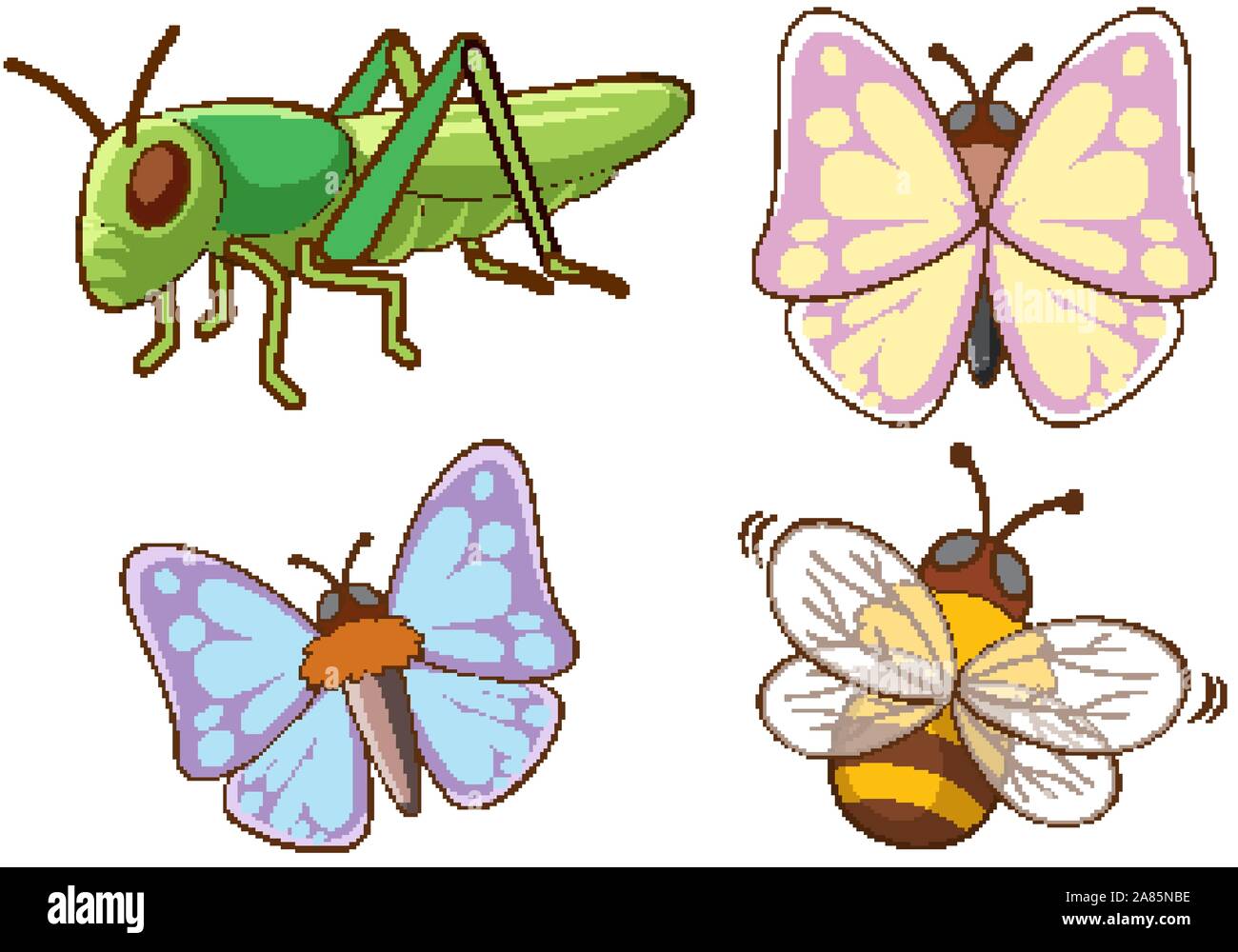 Different insects Cut Out Stock Images & Pictures - Alamy