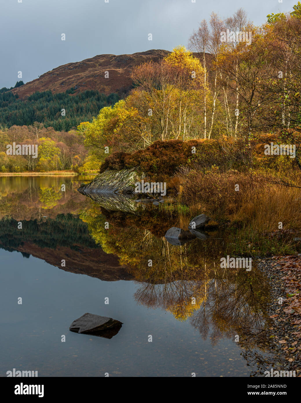 Autumn trees in full colour and their reflections in Loch Chon ...