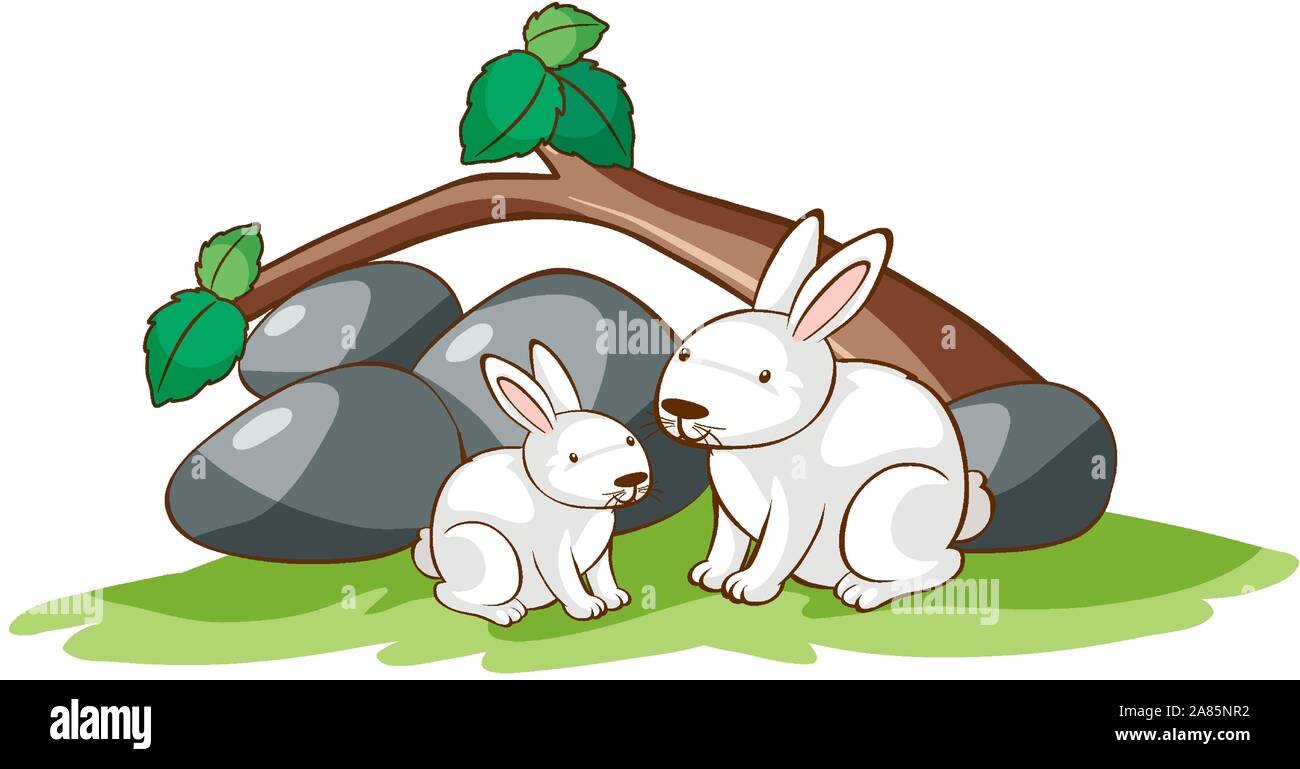 Isolated picture of two rabbits in garden illustration Stock Vector ...