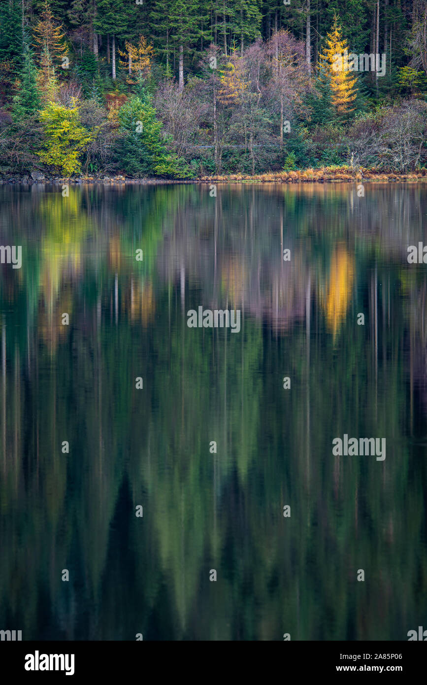 Colorful autumn trees and reflections in a still calm Loch Chon in ...