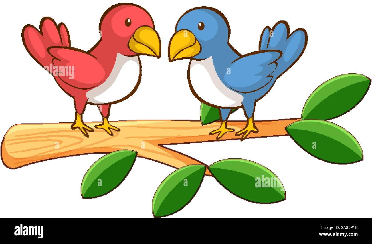 Two birds on white background illustration Stock Vector Image & Art - Alamy