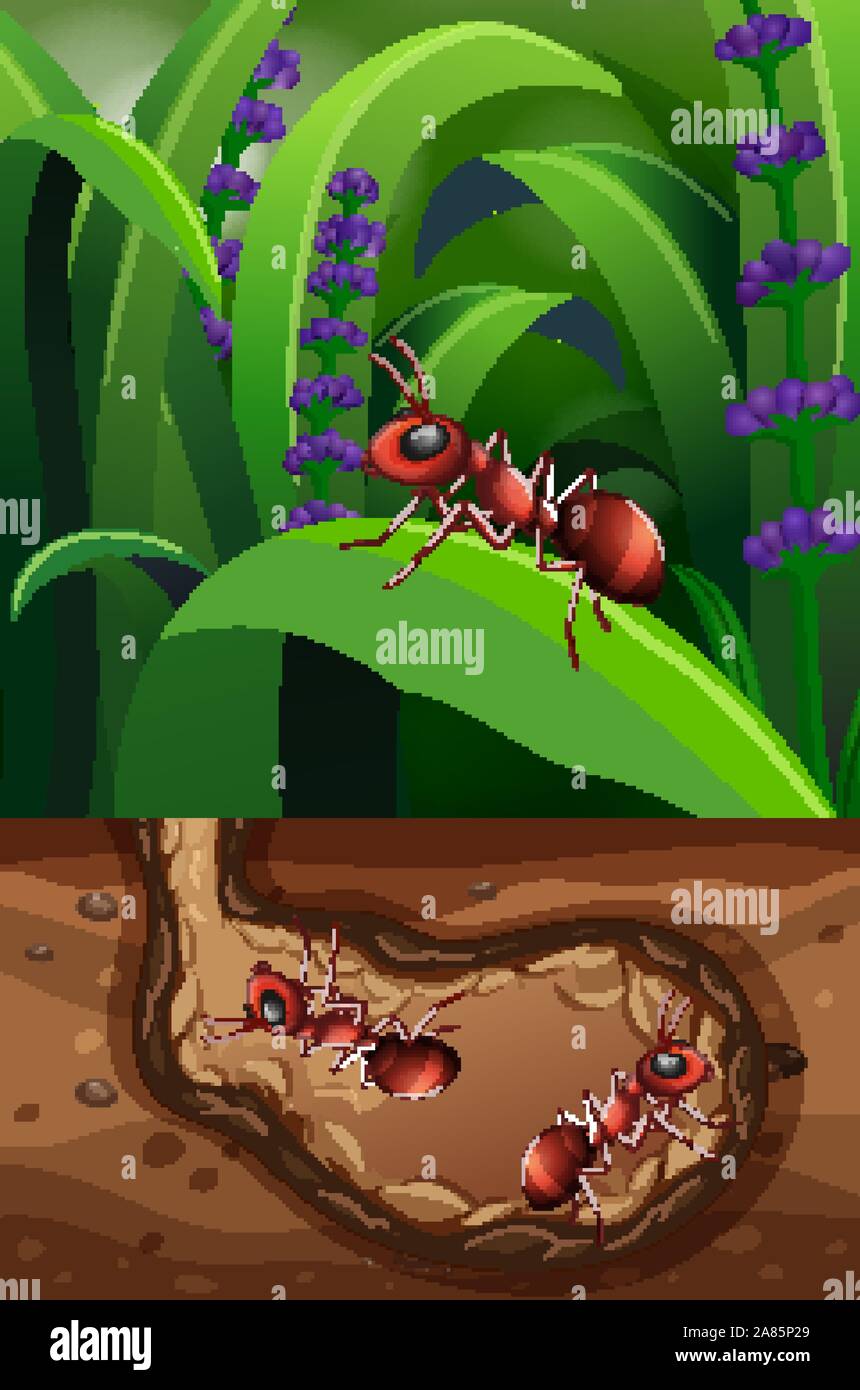 Lives underground Stock Vector Images - Alamy