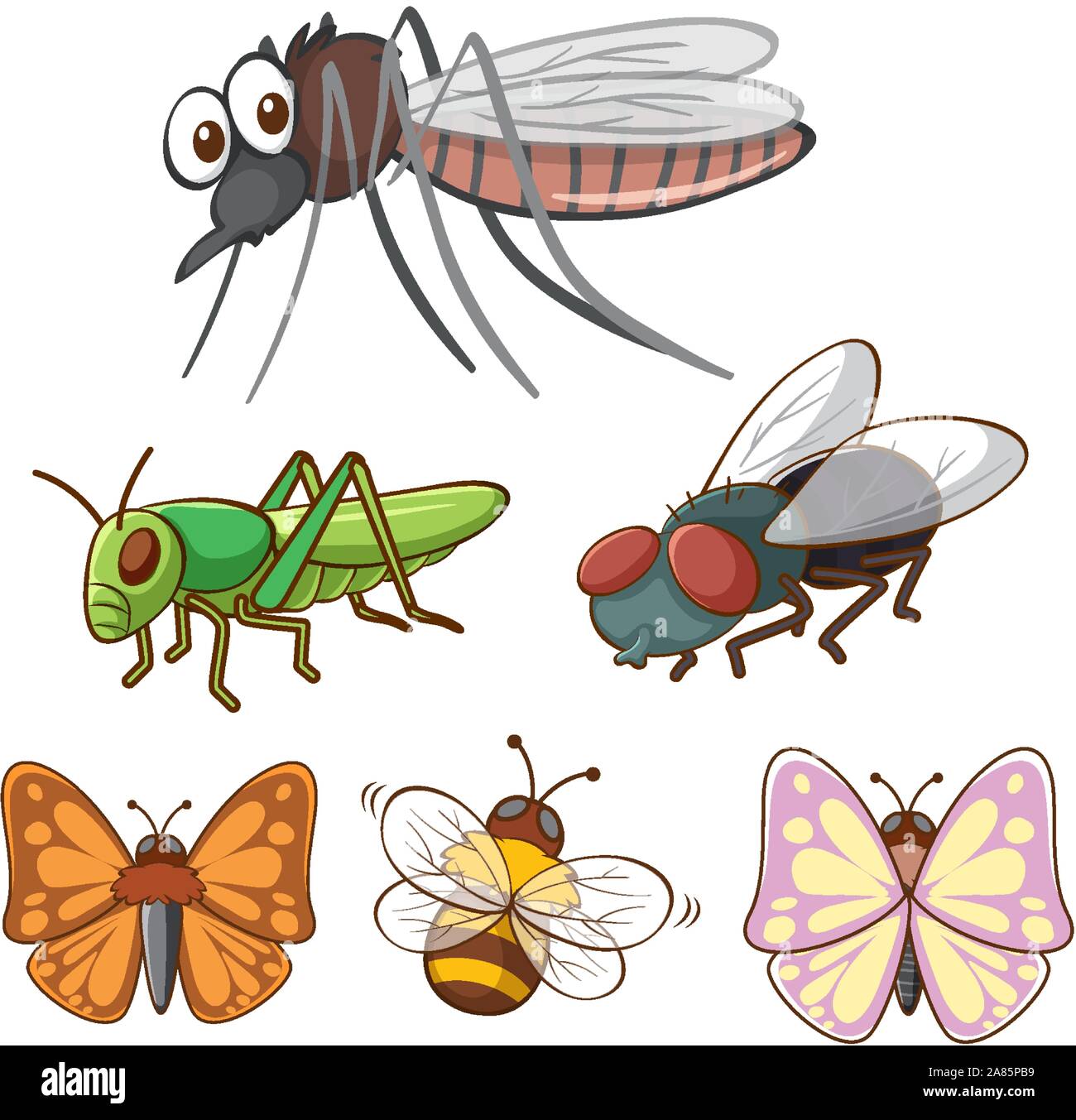 Isolated picture of different insects illustration Stock Vector Image ...