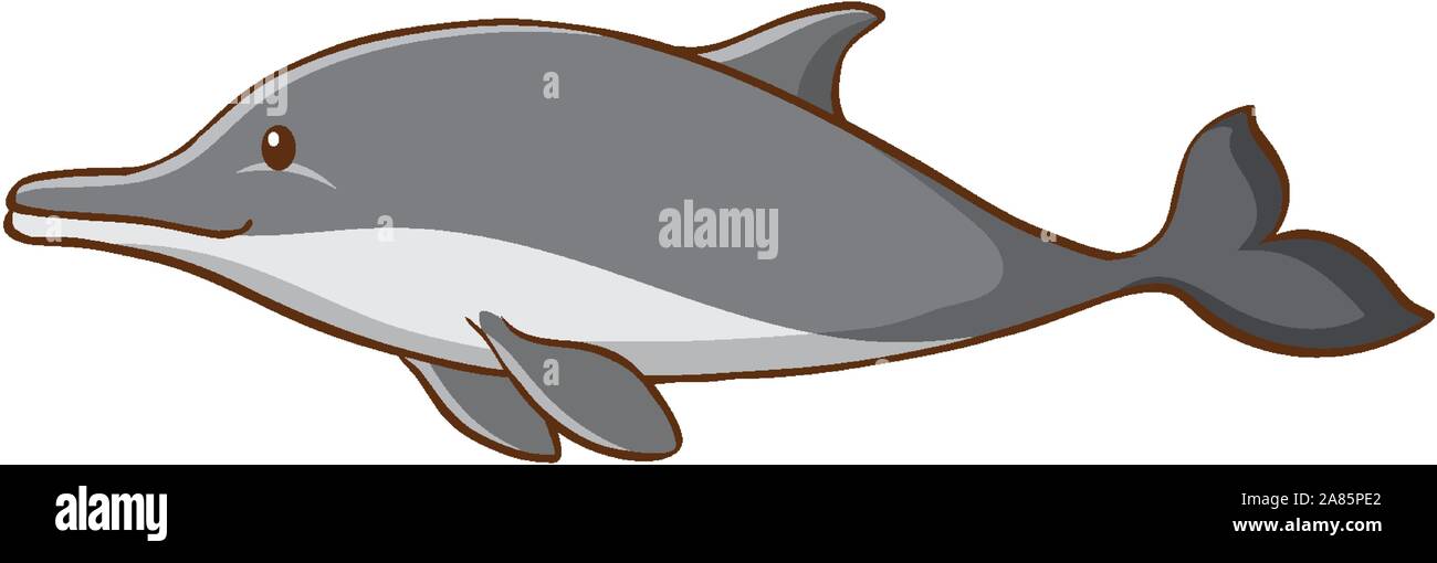 Gray dolphin on white background illustration Stock Vector Image & Art ...