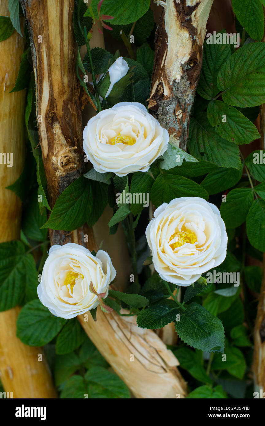 Wedding decorations with white roses and timber Stock Photo - Alamy
