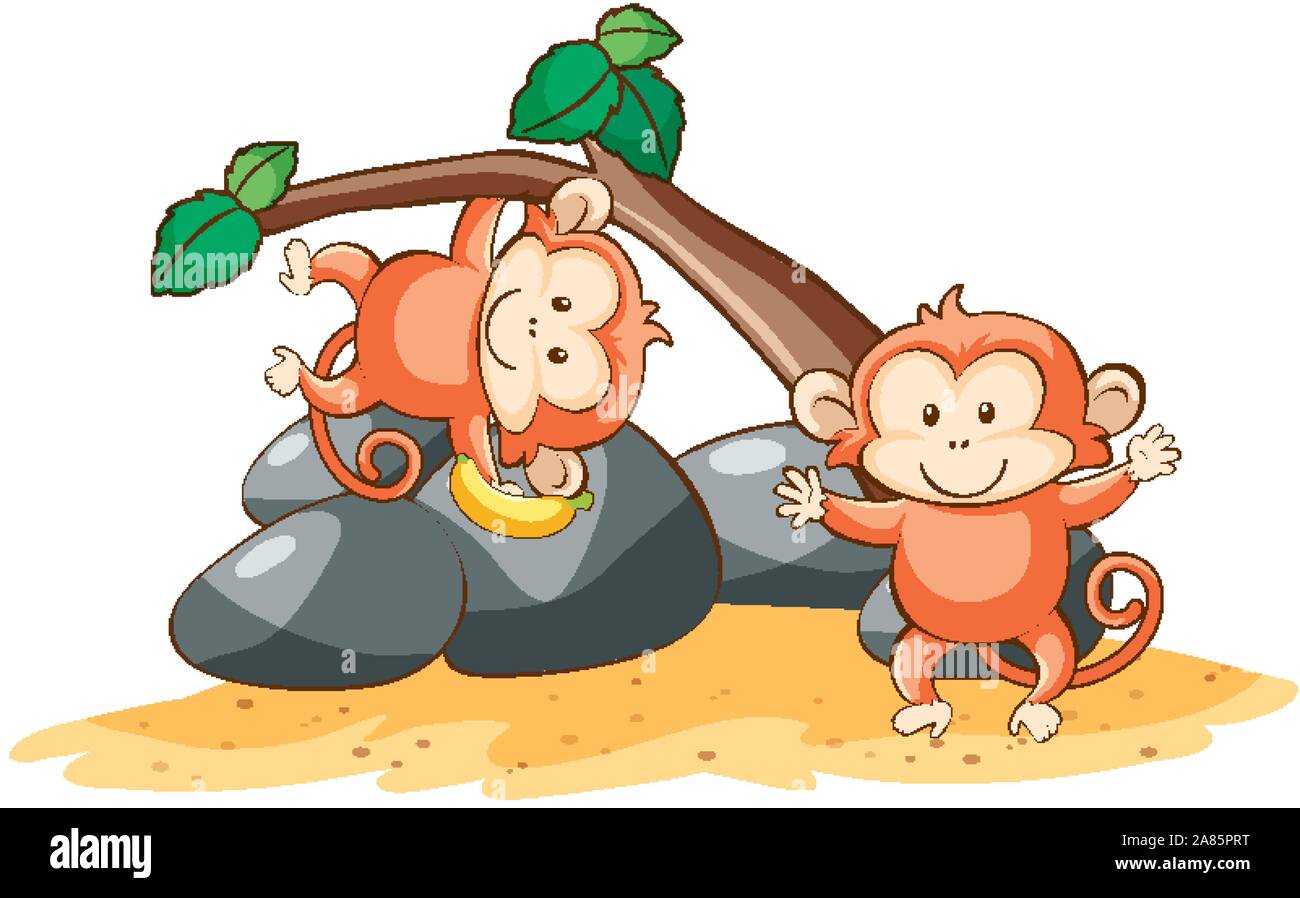 Two monkeys on the tree illustration Stock Vector Image & Art - Alamy