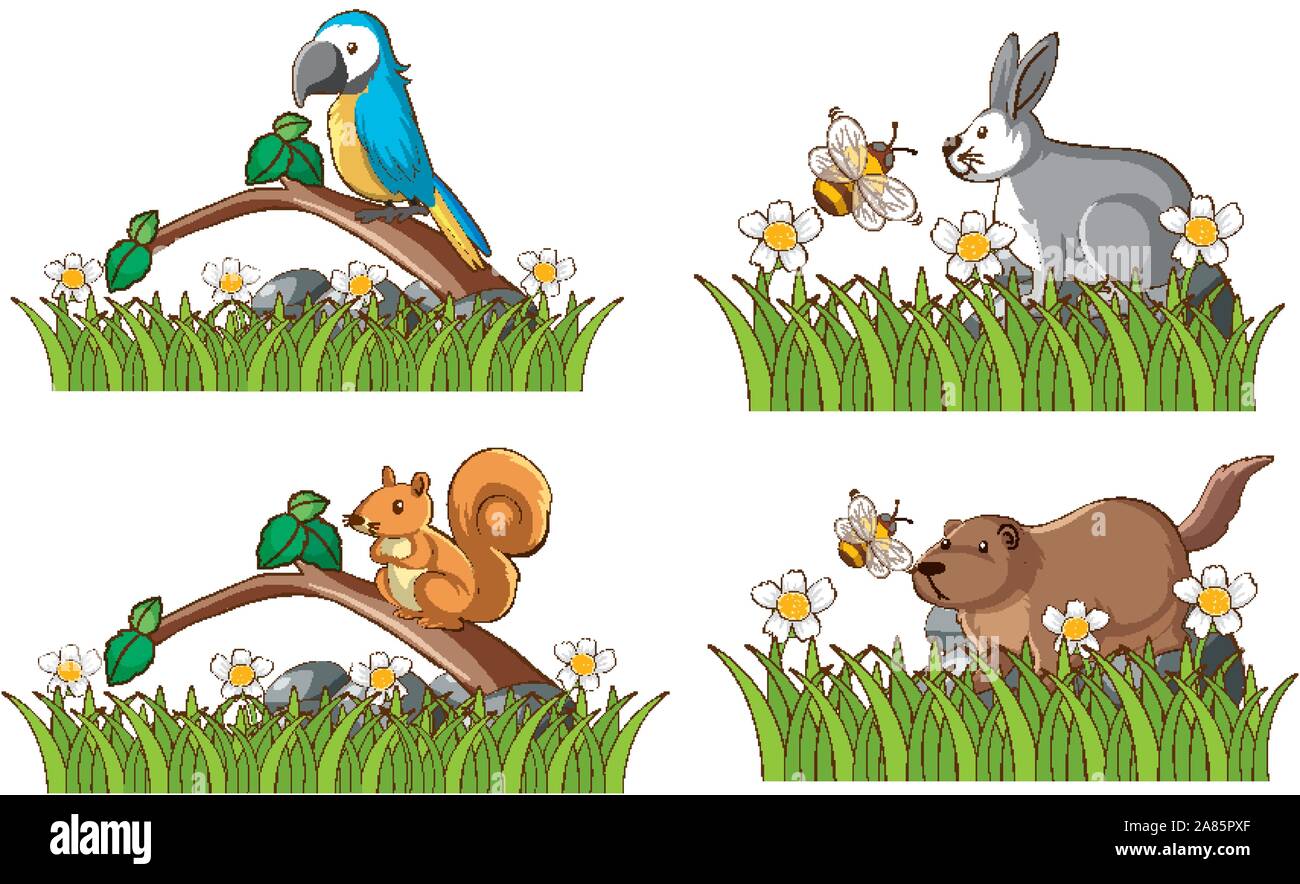 Four types of animals in garden illustration Stock Vector Image & Art ...