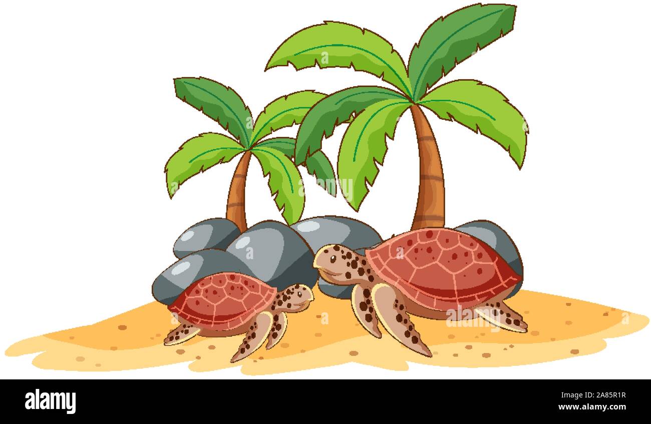 Two sea turtles on white background illustration Stock Vector Image ...