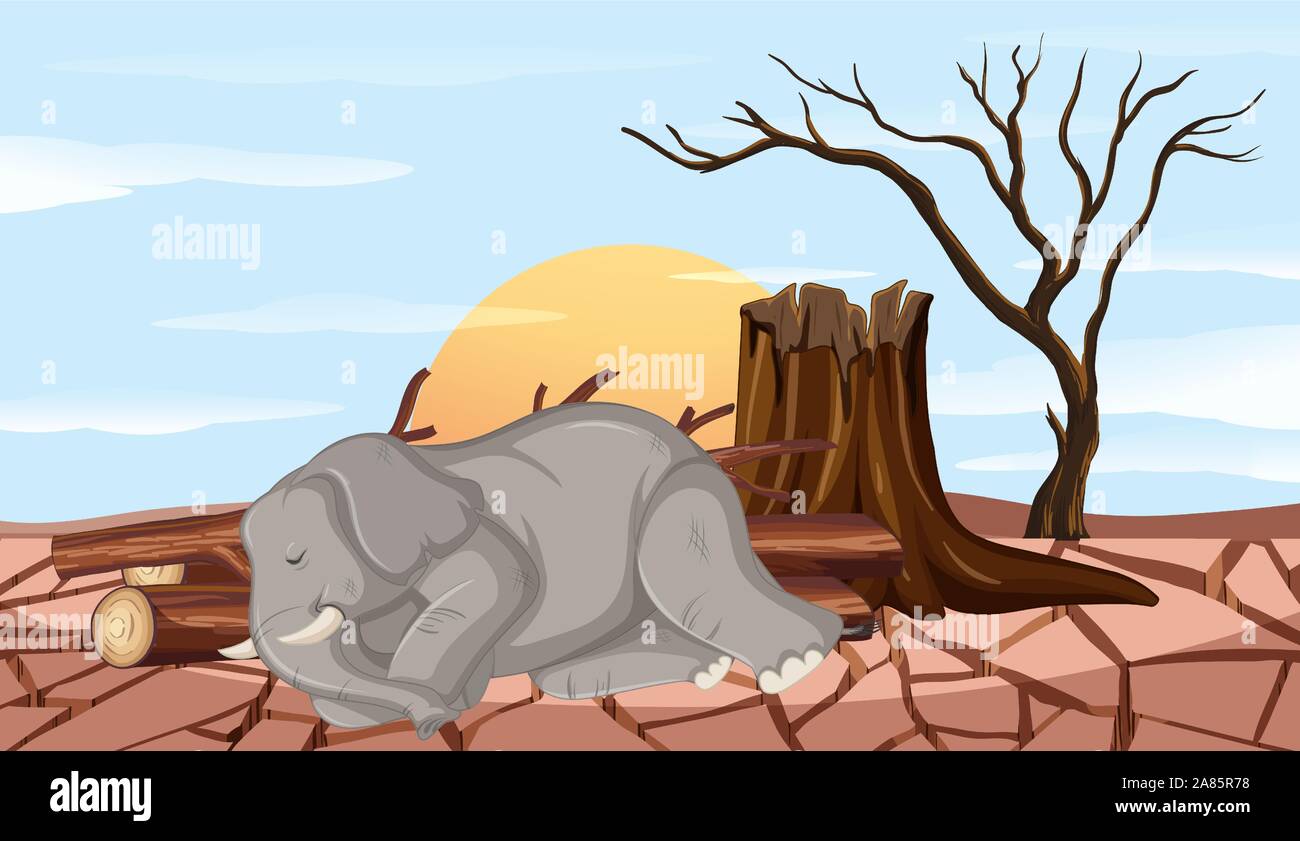 Dead Elephant Cartoon