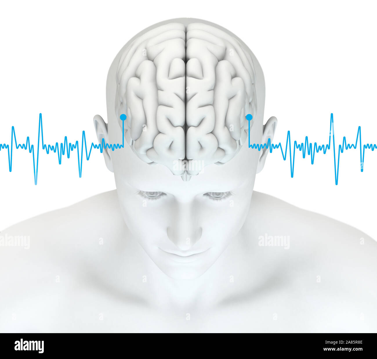 3D illustration showing blue soundwaves pointing at auditory cortex ...