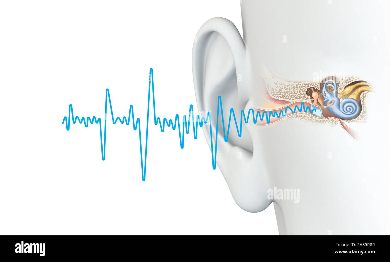 3D illustration showing blue soundwave and anatomical ear illustration ...