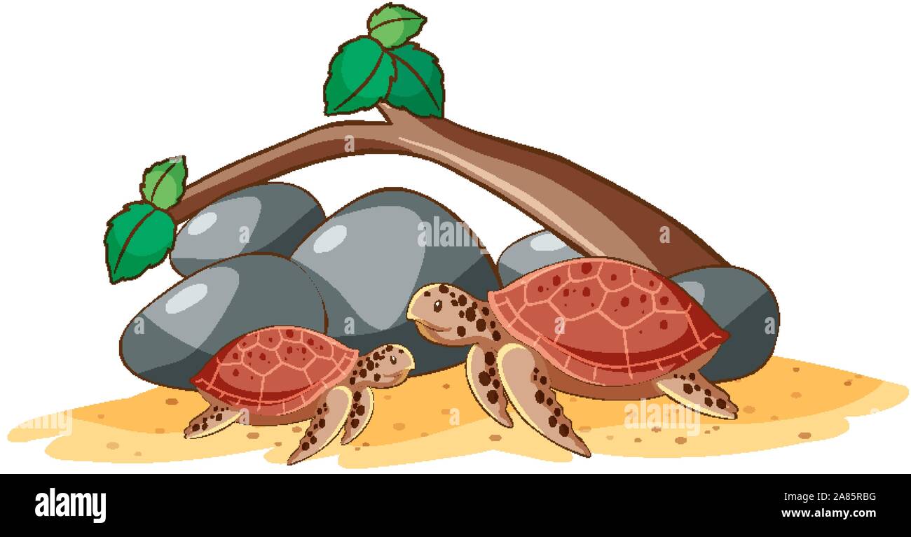 Sea turtles on white background illustration Stock Vector Image & Art ...