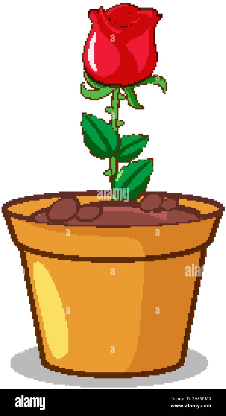 Red rose on white background illustration Stock Vector Image & Art - Alamy