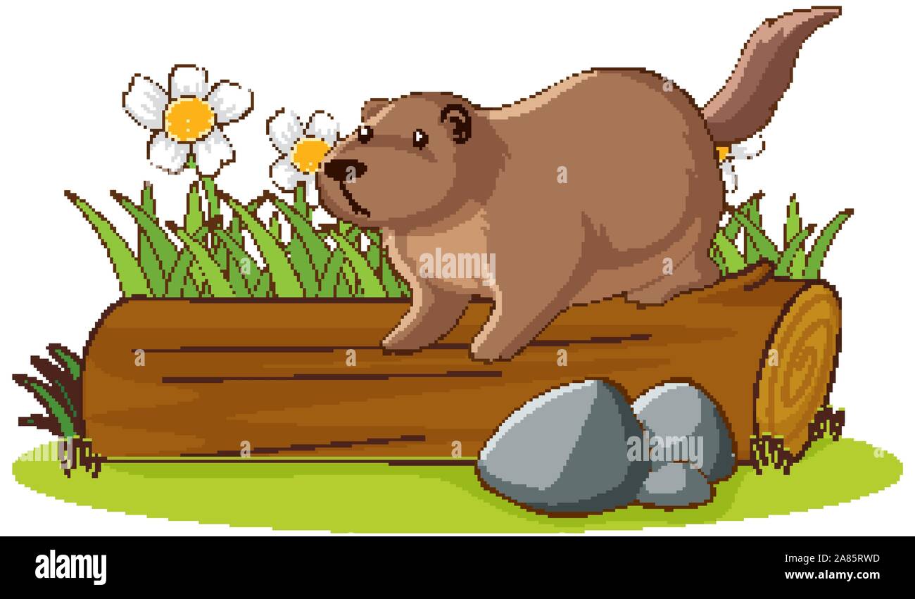 Beaver beautiful animal image Stock Vector Images - Alamy