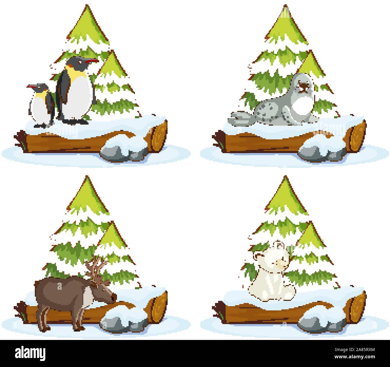 Arctic marine mammals Stock Vector Images - Alamy