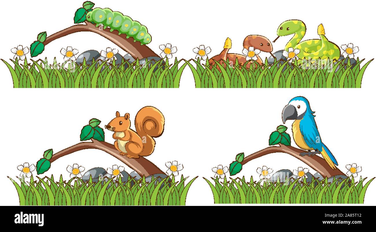 Four types of animals in garden illustration Stock Vector Image & Art ...
