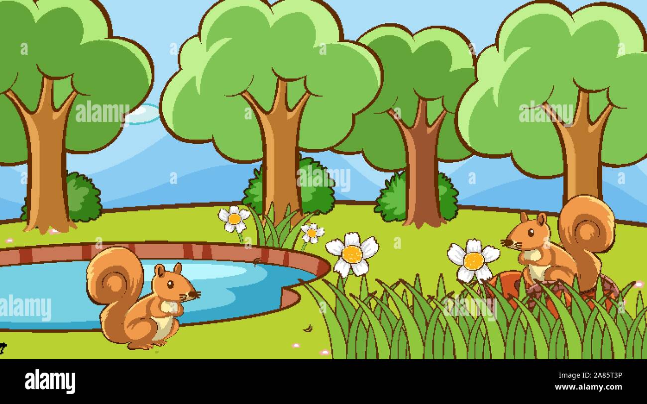 Squirrels in the forest illustration Stock Vector Image & Art - Alamy