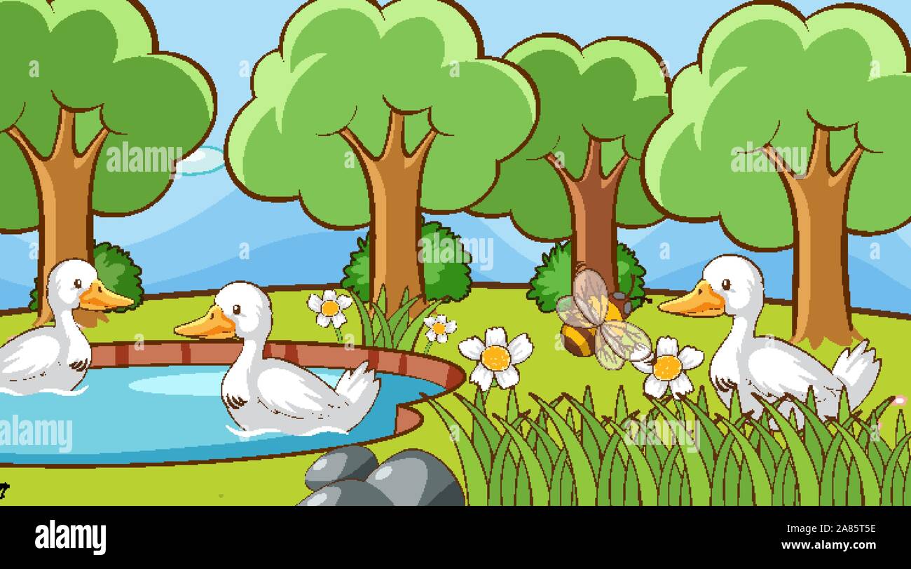 Scene with ducks in the park illustration Stock Vector Image & Art - Alamy