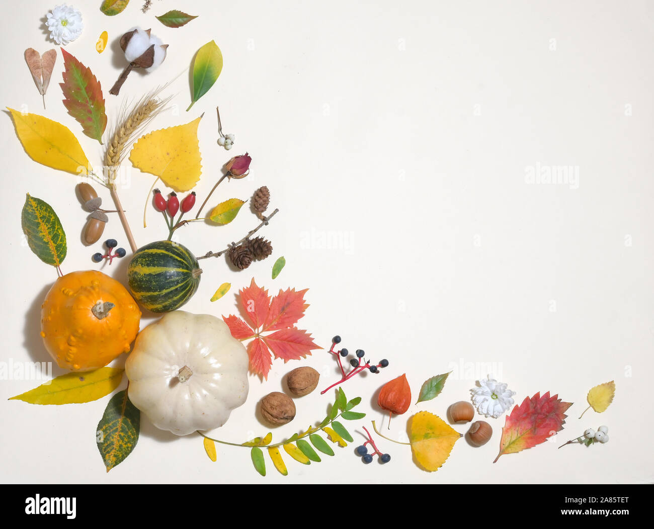 Autumn Colourful Leaves In Frame Isolated Stock Photo - Alamy