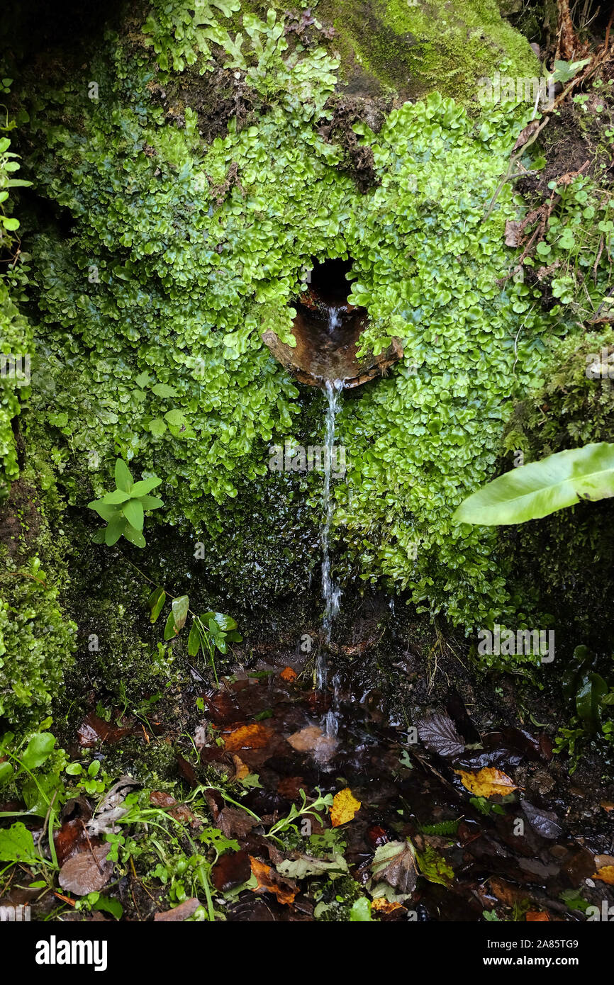 from the waterfall comes water through the rock Stock Photo - Alamy