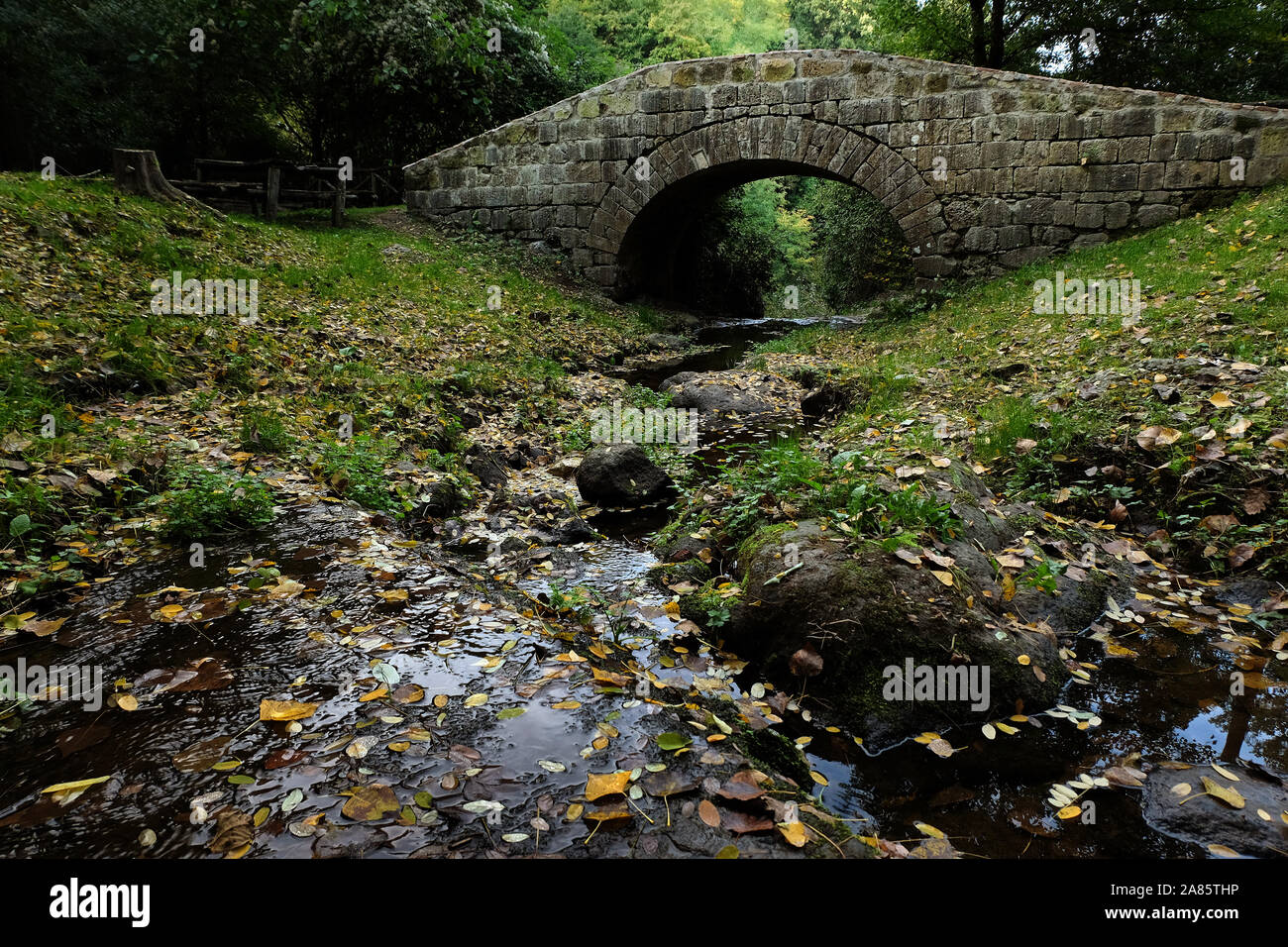 Enchanted places hi-res stock photography and images - Alamy