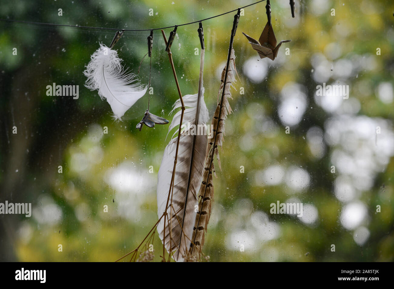 GERMANY, looking out the window with feather and damp Stock Photo - Alamy