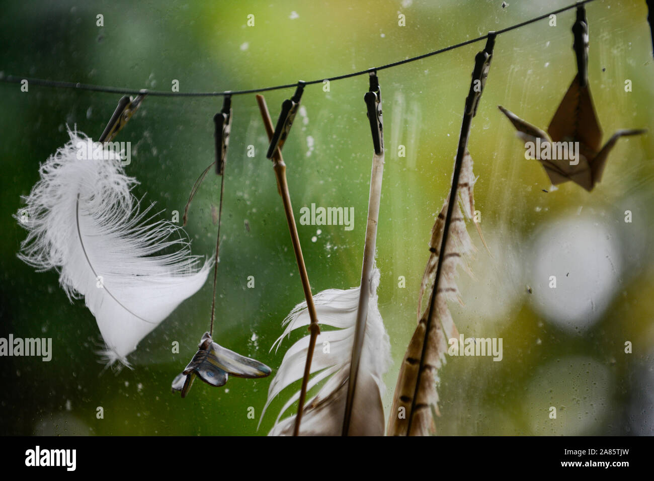 GERMANY, looking out the window with feather and damp Stock Photo - Alamy